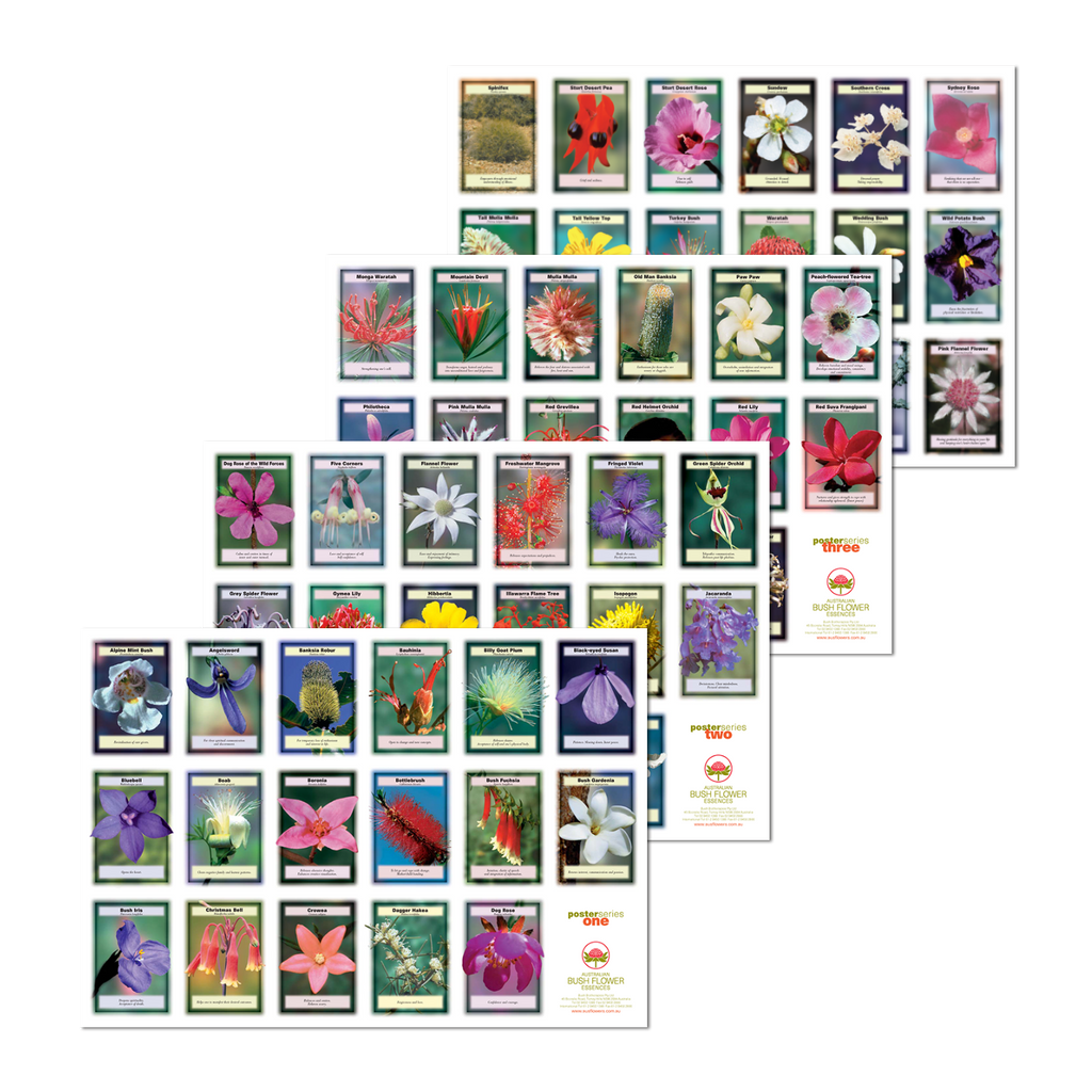 Posters x 4 (Insight Cards) – Australian Bush Flower Essences