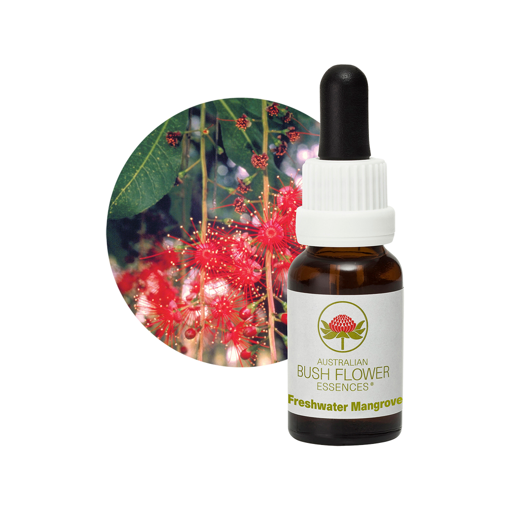 Freshwater Mangrove - Australia – Australian Bush Flower Essences