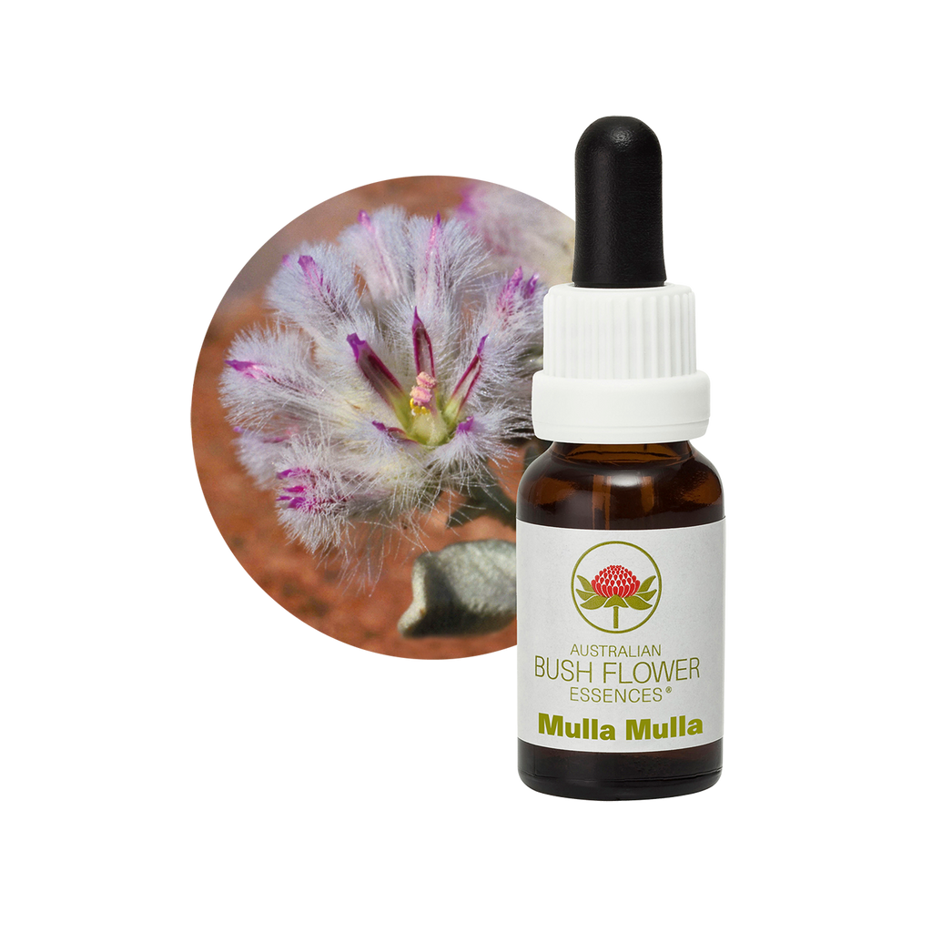 Mulla Mulla Essence – Australian Bush Flower Essences – Australian Bush ...