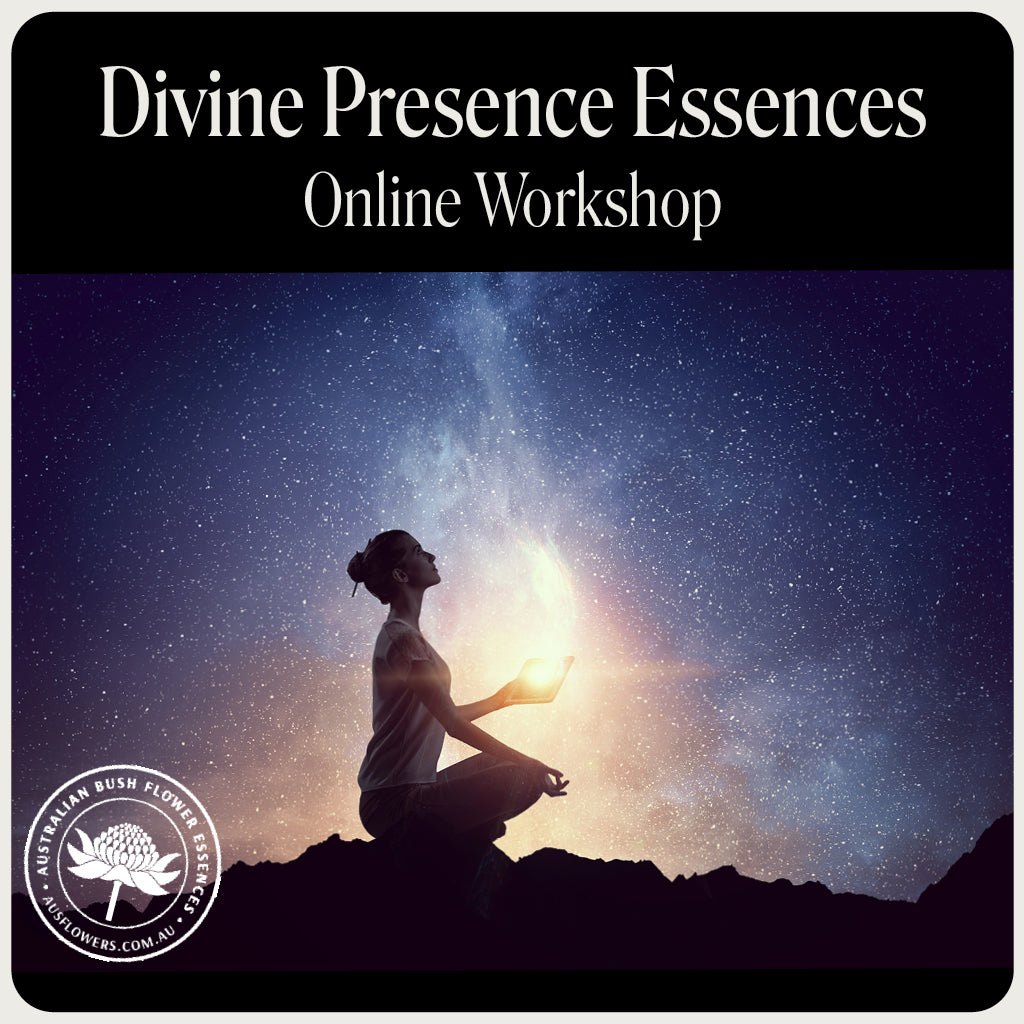 Divine Presence Essences Online Workshop – Australian Bush Flower Essences