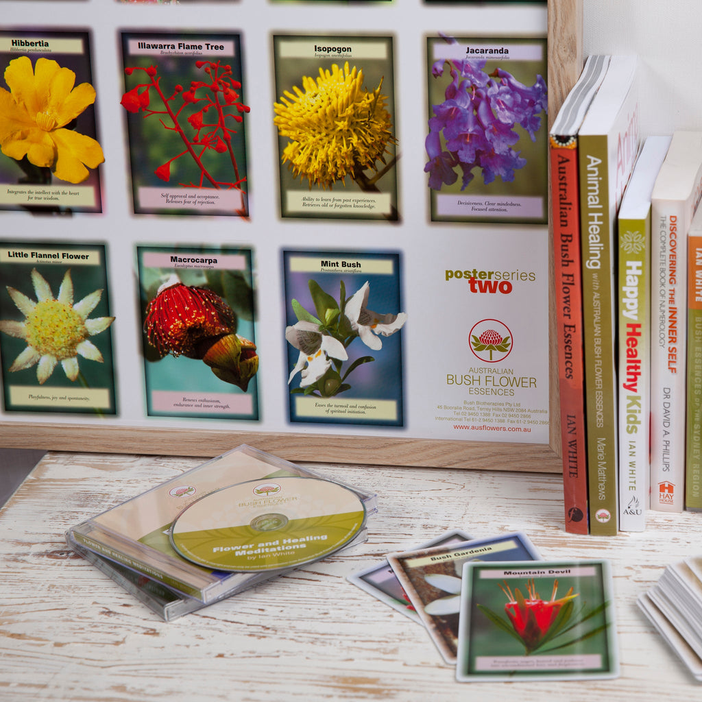 Posters x 4 (Insight Cards) – Australian Bush Flower Essences